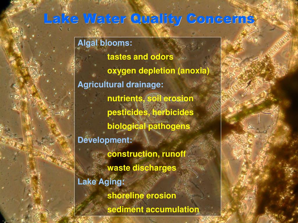 PPT - Taste and Odor Control at the Bloomington Water Treatment Plant ...