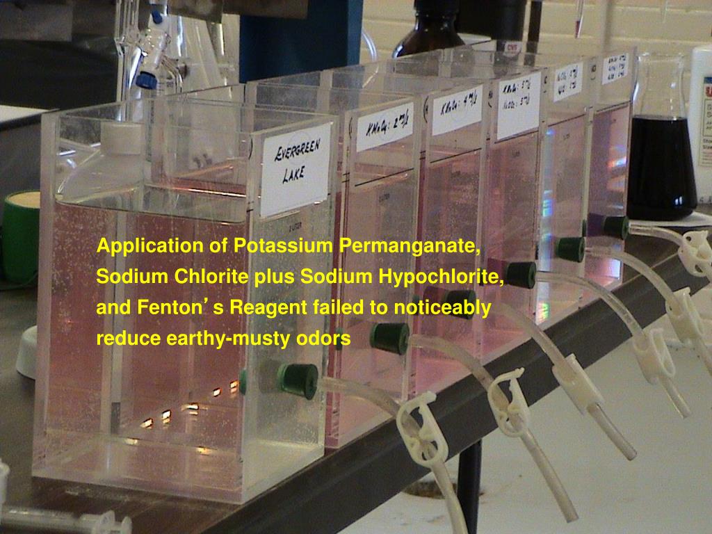PPT - Taste and Odor Control at the Bloomington Water Treatment Plant ...