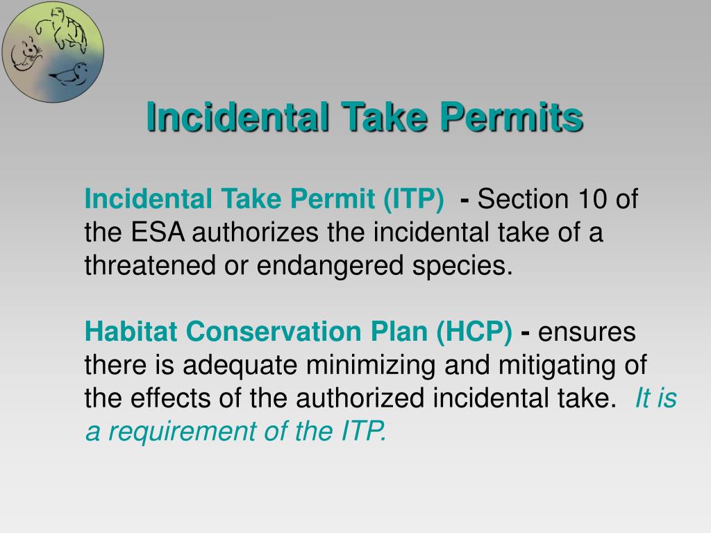 PPT - THE ENDANGERED SPECIES ACT & THE FLORIDA BEACHES HABITAT ...