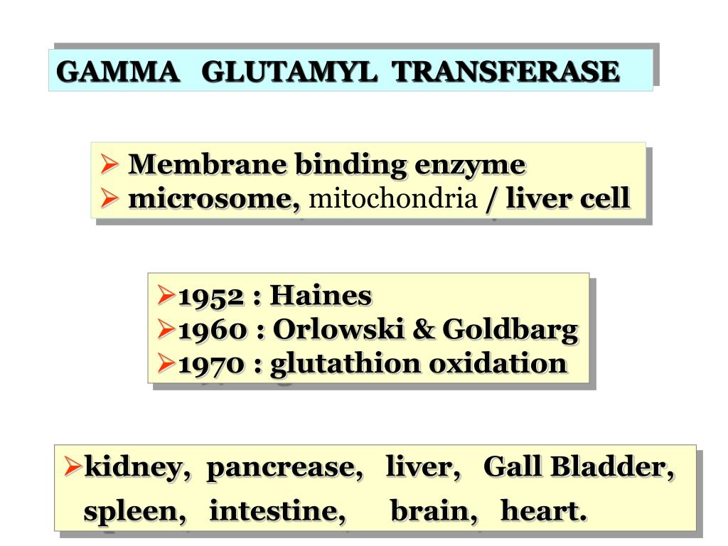 PPT - Glutathione(γ-glutamine amino acid) PowerPoint Presentation, free ...