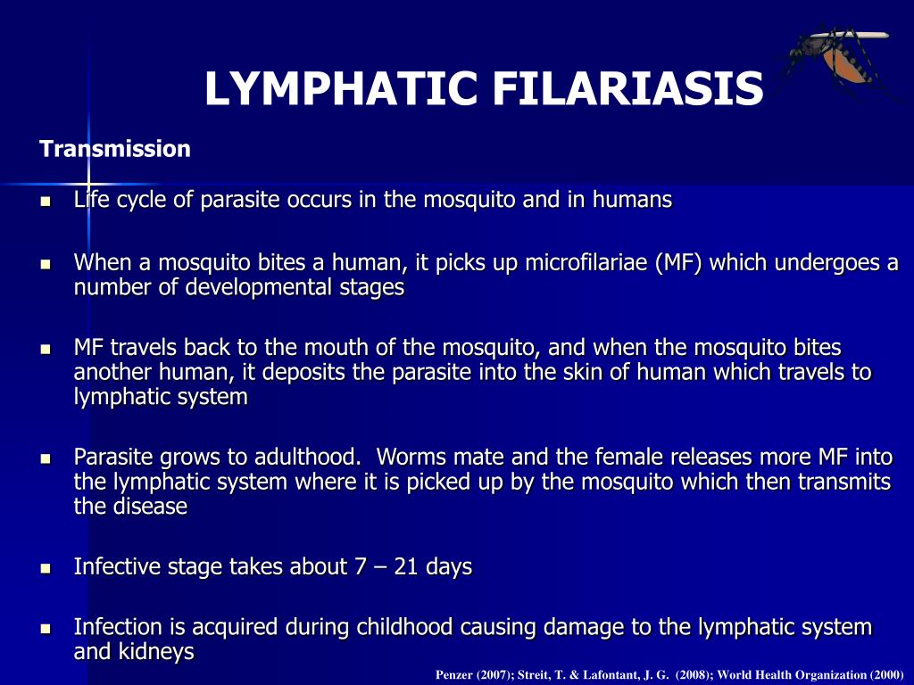 PPT - LYMPHATIC FILARIASIS A MAJOR PUBLIC HEALTH CHALLENGE IN THE 21ST ...
