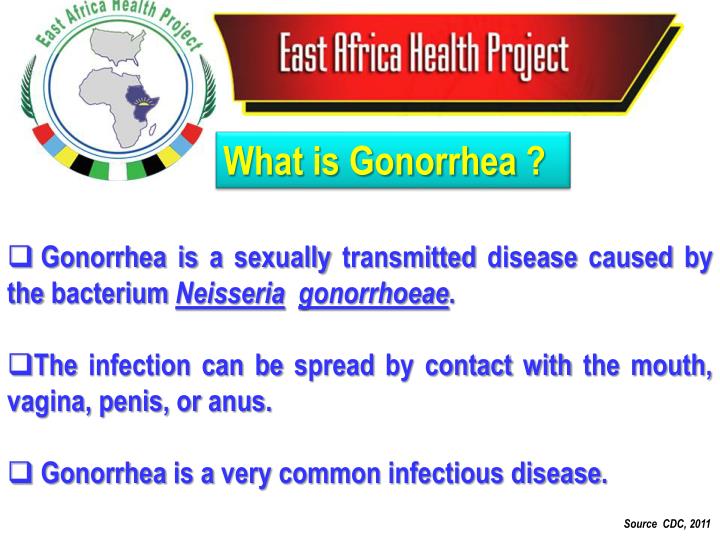 PPT - Gonorrhea PowerPoint Presentation - ID:3427141