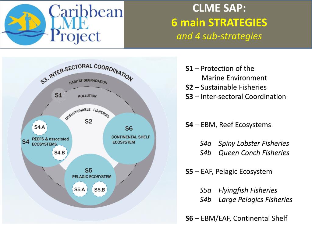 PPT - Caribbean & North Brazil Shelf Large Marine Ecosystems 10-year ...