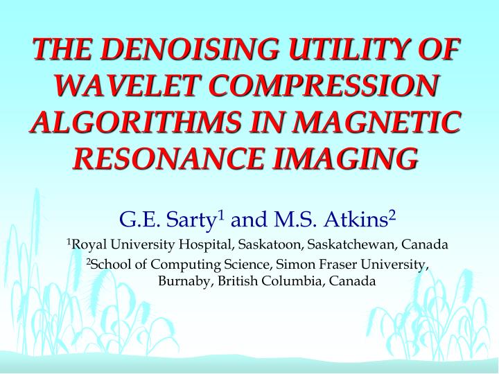 Ppt The Denoising Utility Of Wavelet Compression Algorithms In Magnetic Resonance Imaging