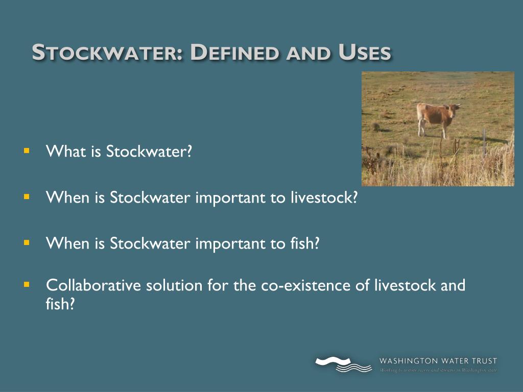 PPT - Enhancing Winter Stream Flows in Washington: A Sustainable ...