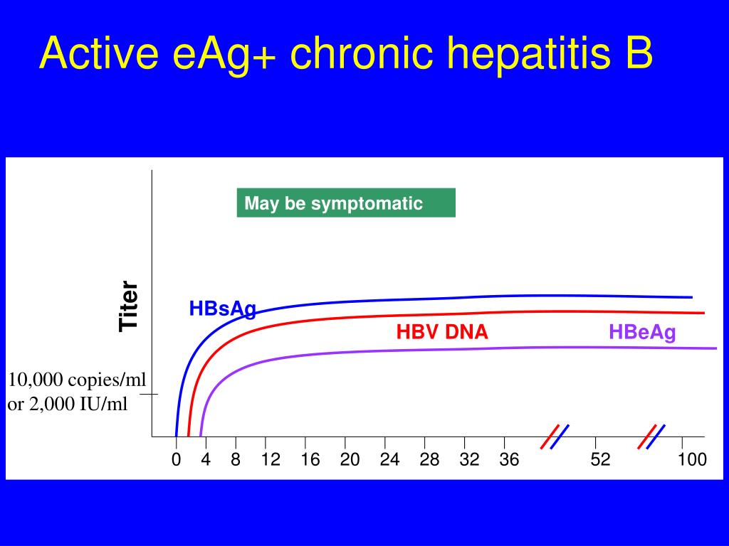 PPT - August 14, 2008 HIV and Hepatitis Chia Wang, MD PowerPoint ...