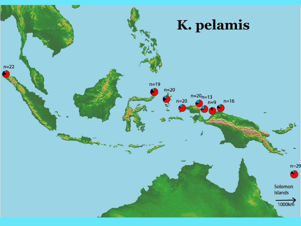 PPT - Alexis Jackson 1, Paul Barber 2 1. Yale University 2. Boston ...