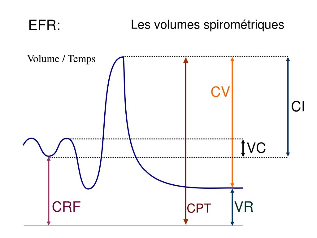 PPT - Pneumologie: LES EPREUVES FONCTIONNELLES RESPIRATOIRES PowerPoint ...