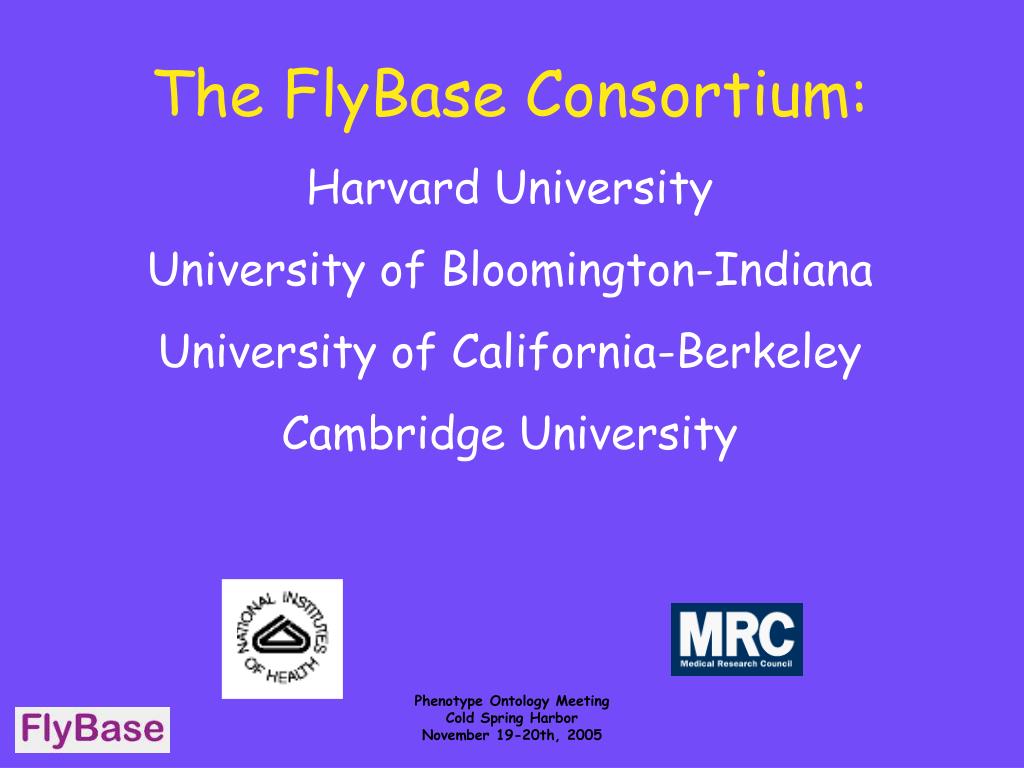 PPT - The FlyBase Consortium: Harvard University University of ...