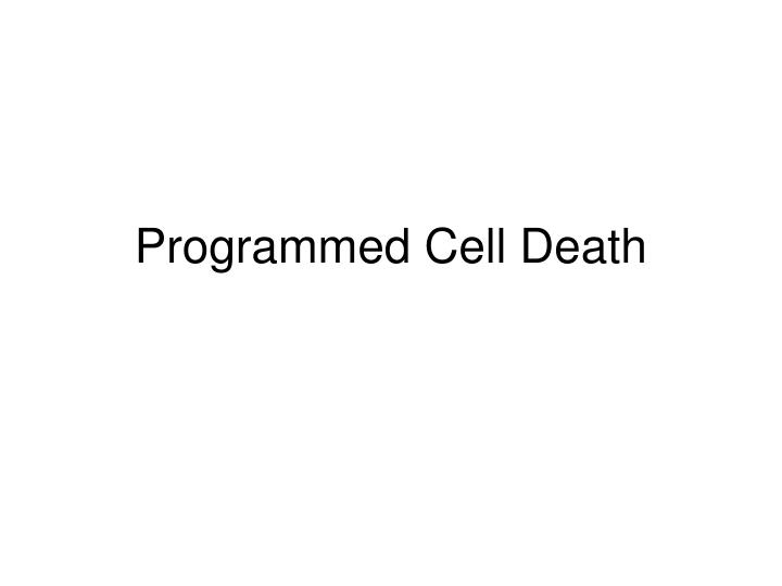 PPT - Programmed Cell Death PowerPoint Presentation, free download - ID ...