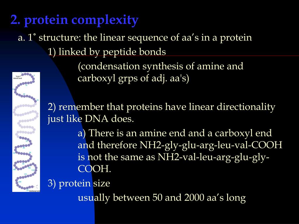 PPT - Bio 212: Biology of Plants PowerPoint Presentation, free download ...
