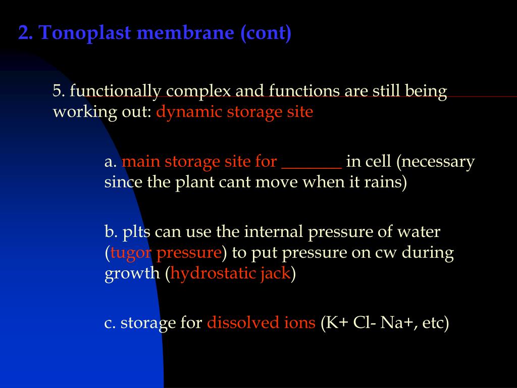 PPT - Bio 212: Biology of Plants PowerPoint Presentation, free download ...