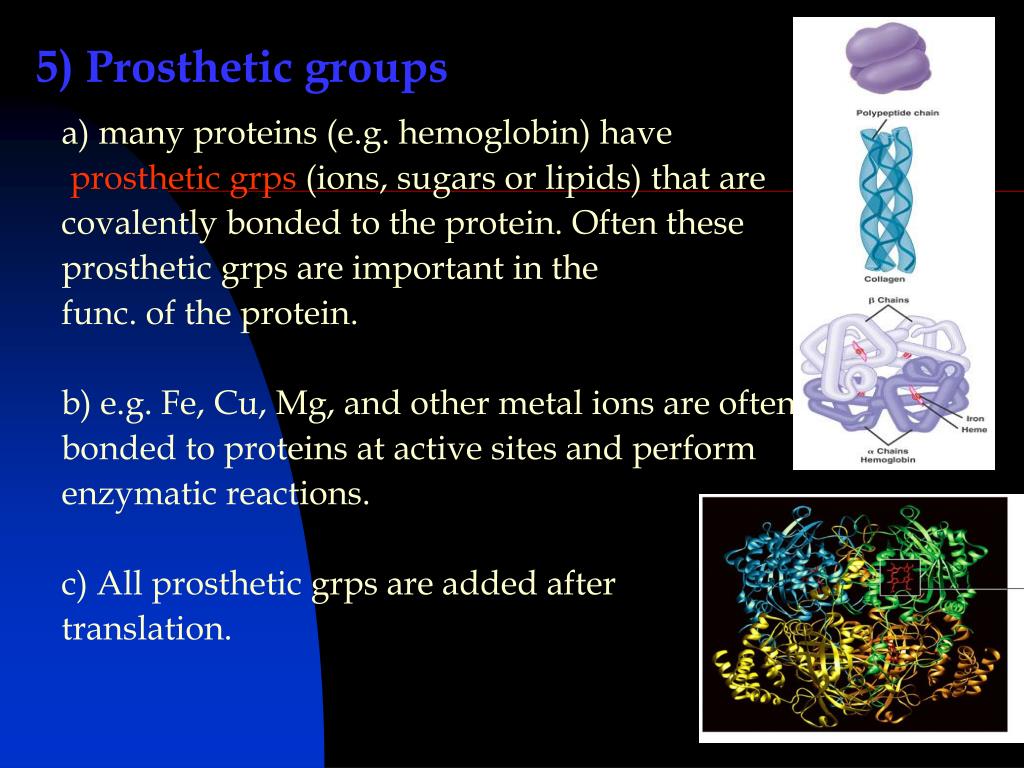 PPT - Bio 212: Biology of Plants PowerPoint Presentation, free download ...