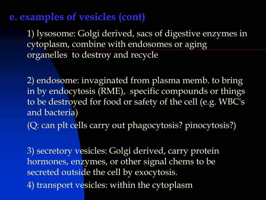 PPT - Bio 212: Biology of Plants PowerPoint Presentation, free download ...