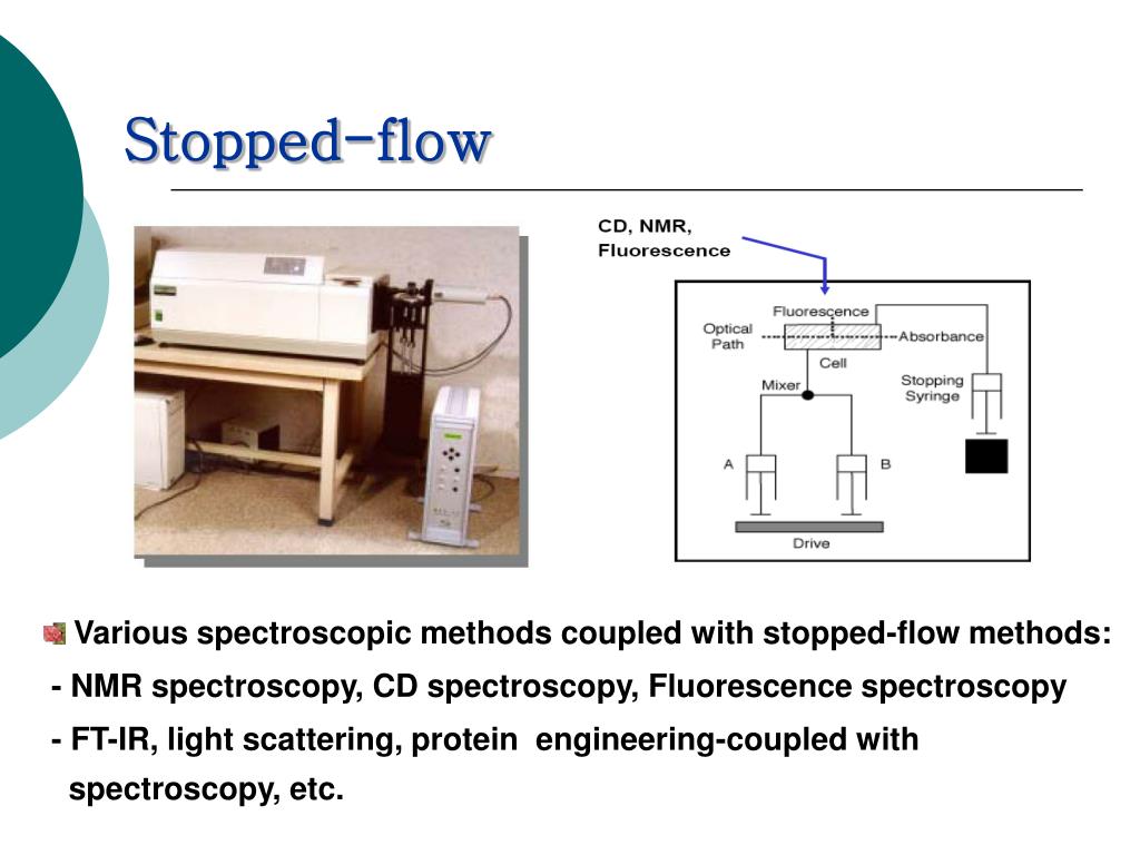 PPT - The role of disulfide bonds on the activity, stability and ...