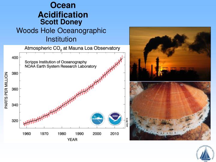 PPT - Ocean Acidification PowerPoint Presentation, free download - ID:3435538