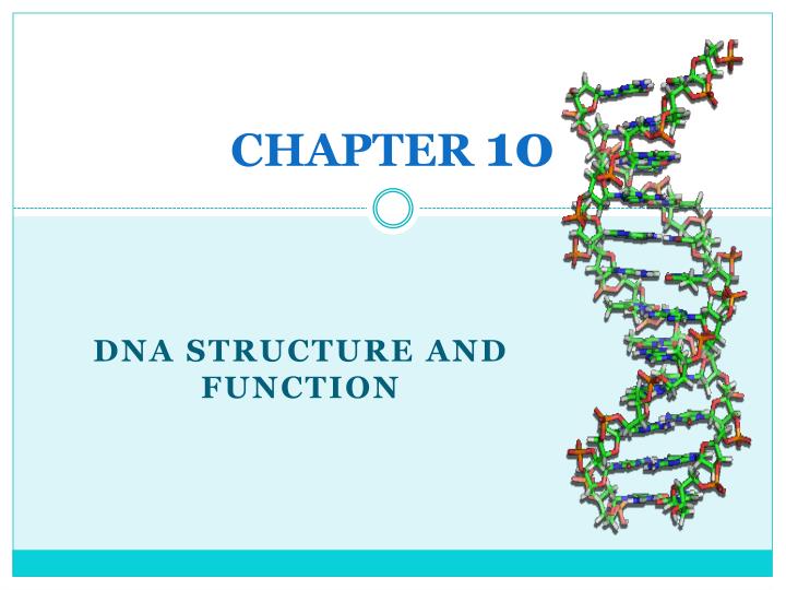 PPT - CHAPTER 10 PowerPoint Presentation, free download - ID:3435653