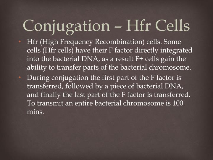 PPT - Horizontal Gene Transfer in Bacteria PowerPoint Presentation - ID ...