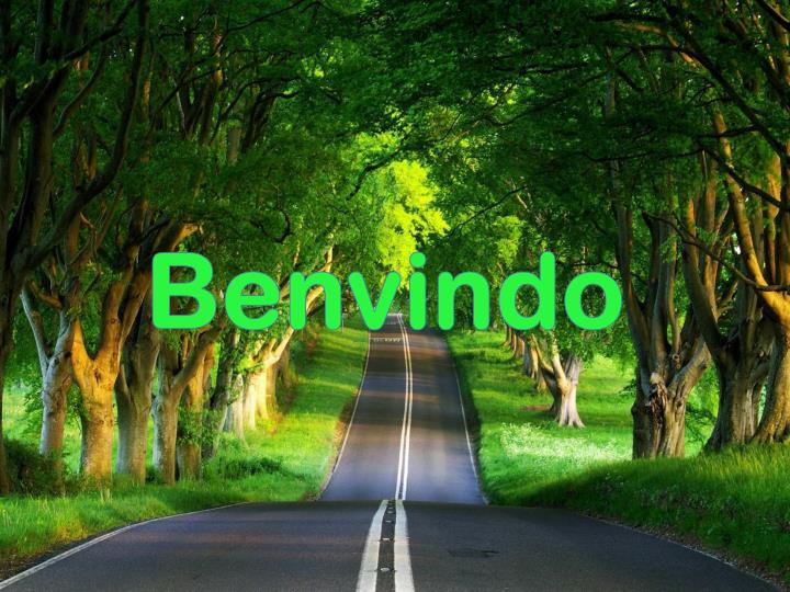 PPT - Benvindo PowerPoint Presentation, free download - ID:3436486