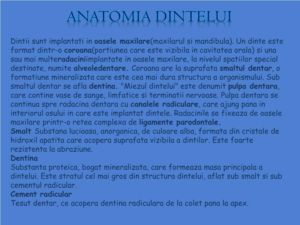 PPT - Dentiția PowerPoint Presentation, free download - ID:3436971