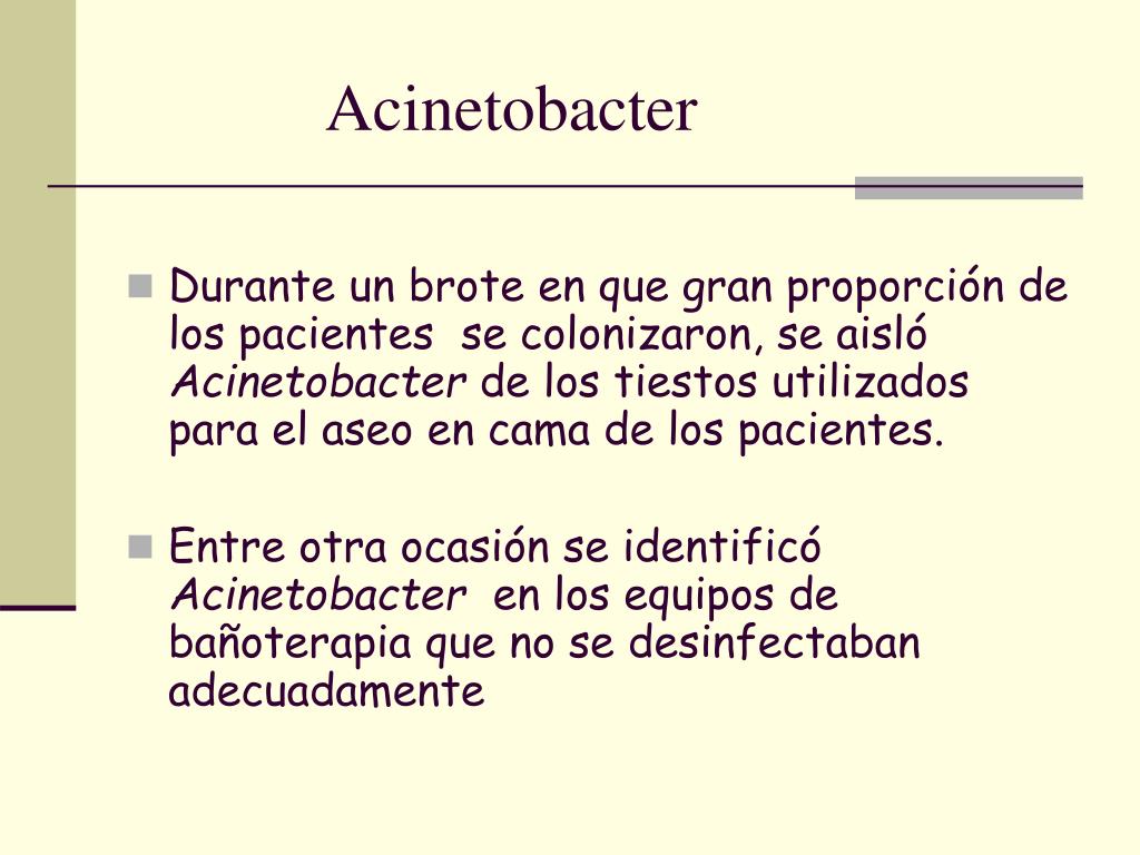 PPT - Brote Epidémico T.M. VILMA ACUÑA U PowerPoint Presentation, free ...