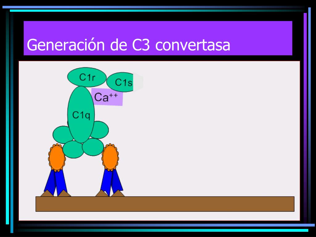 PPT - Sistemas de Amplificación de la Respuesta Inmune PowerPoint ...
