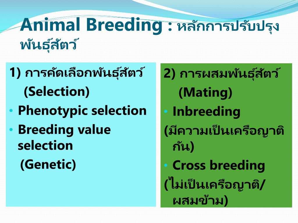 PPT - 137451 Animal Breeding and Improvement การปรับปรุงพันธุ์สัตว์ ...