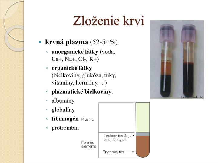 PPT - Krv a krvné skupiny PowerPoint Presentation - ID:3440187