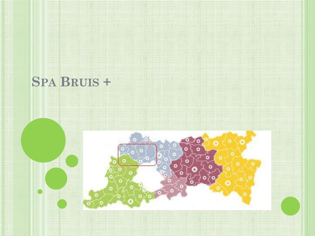 PPT - Spa Bruis + PowerPoint Presentation, free download - ID:3441068