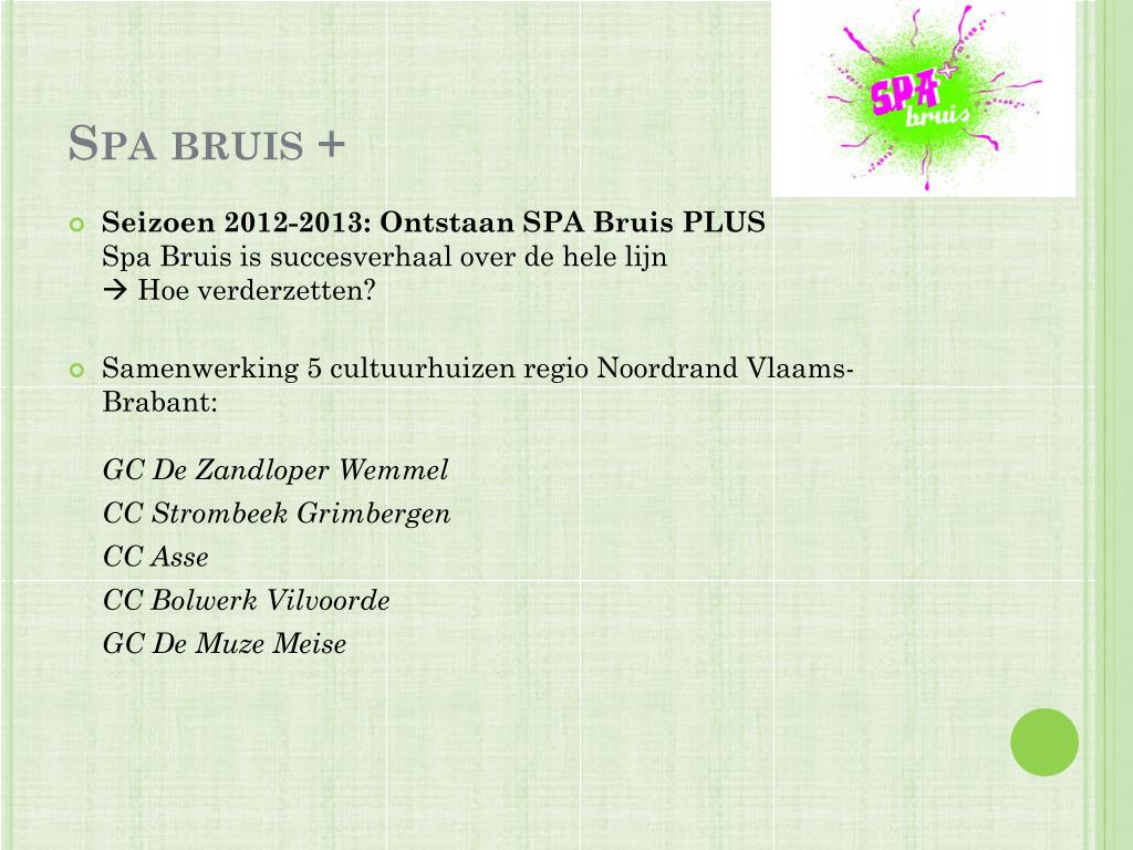 PPT - Spa Bruis + PowerPoint Presentation, free download - ID:3441068
