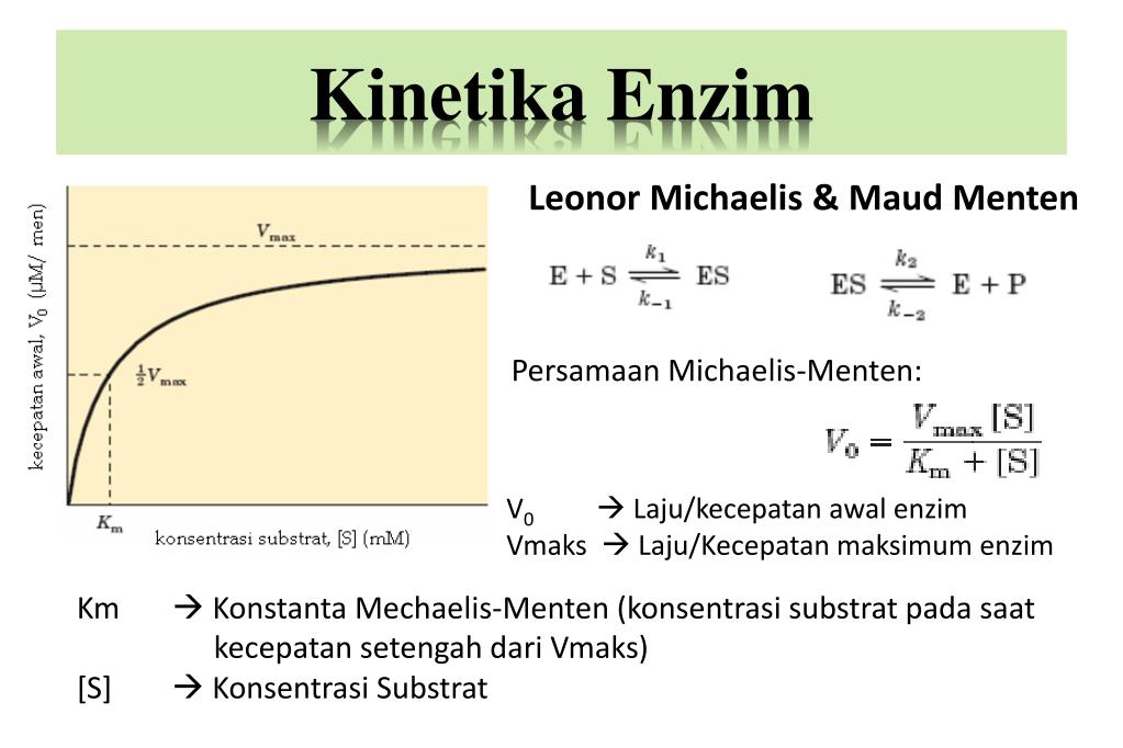 PPT - Reaksi Enzim PowerPoint Presentation, free download - ID:3441567 PPT - Reaksi Enzim PowerPoint Presentation, free download - ID:3441567