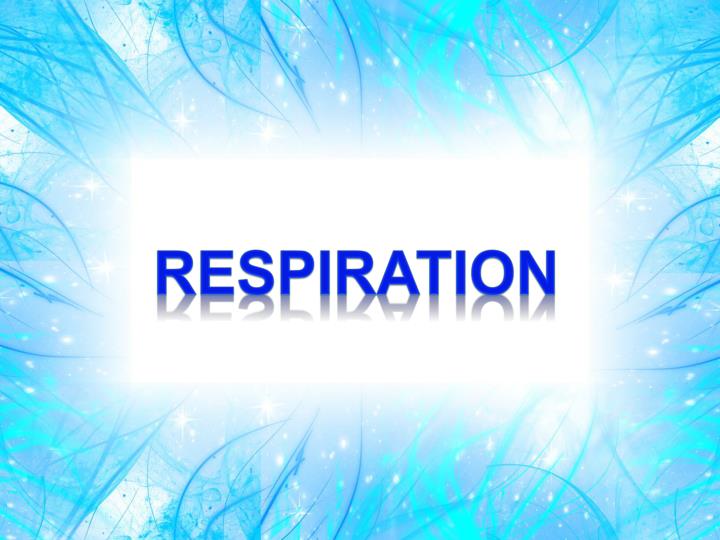 PPT - Respiration PowerPoint Presentation, free download - ID:3443030