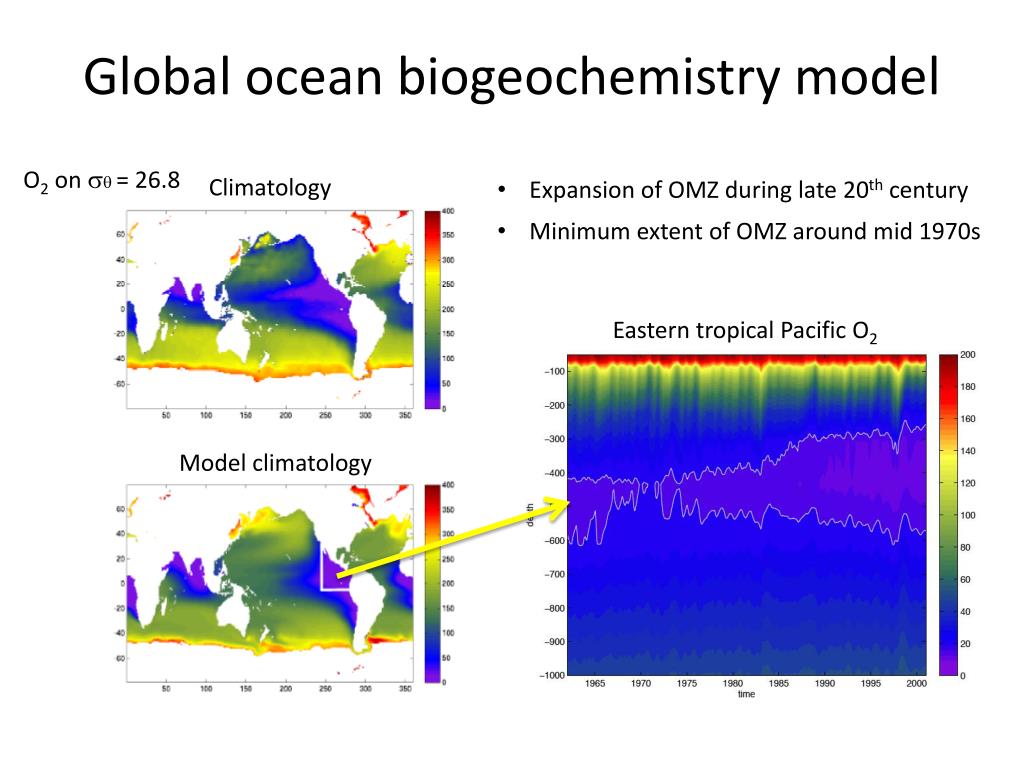 PPT - Tropical Pacific OMZ during late 20 th century PowerPoint ...