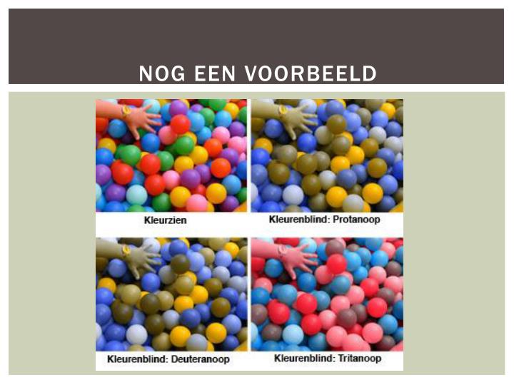 PPT - Het oog PowerPoint Presentation - ID:3445947
