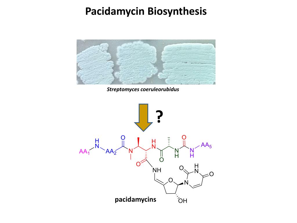 PPT - College of Chemistry Advisory Board Meeting Presentation, 10/24 ...
