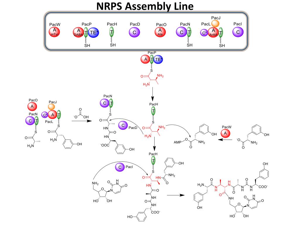 PPT - College of Chemistry Advisory Board Meeting Presentation, 10/24 ...