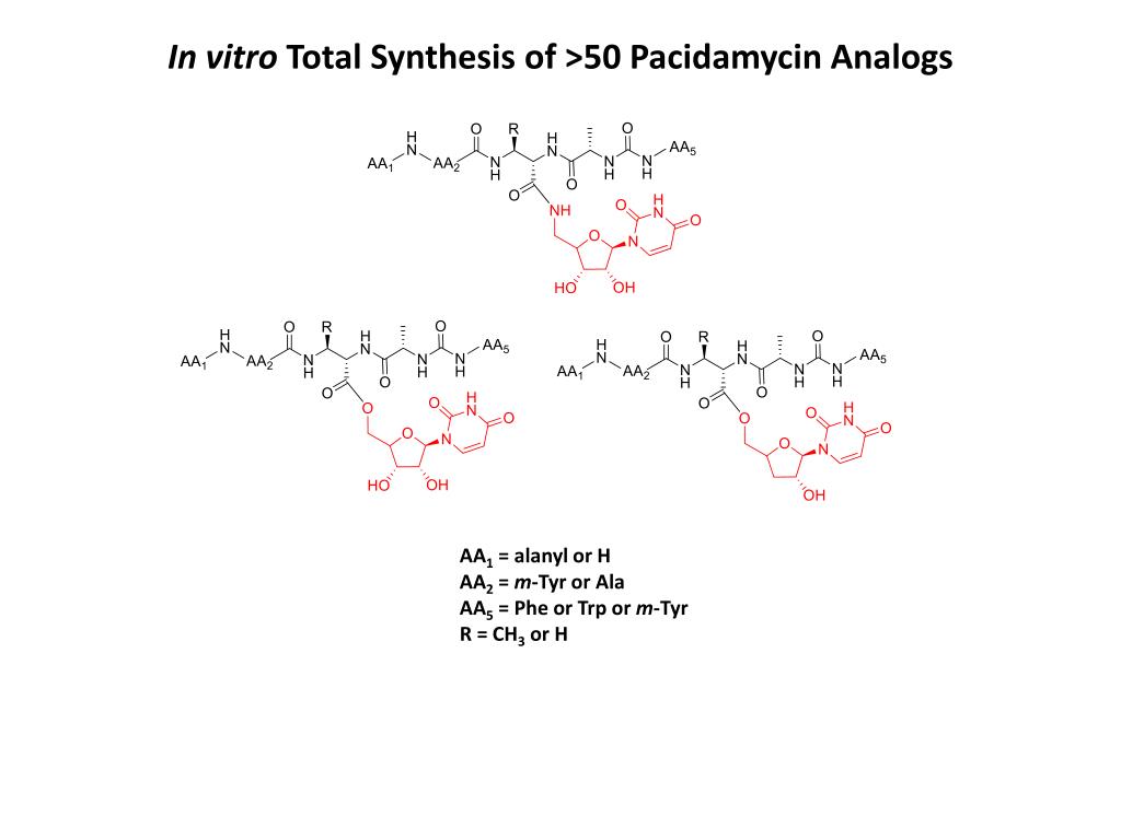 PPT - College of Chemistry Advisory Board Meeting Presentation, 10/24 ...