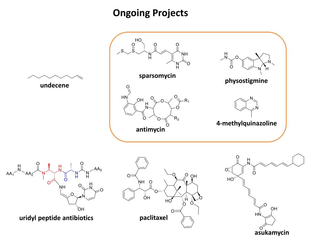 PPT - College of Chemistry Advisory Board Meeting Presentation, 10/24 ...