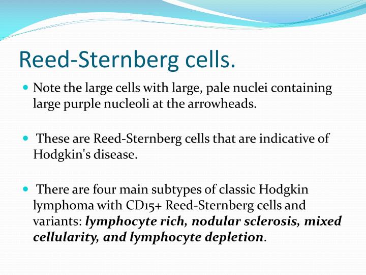 PPT - HEMATOPATHOLOGY. . PowerPoint Presentation - ID:3446723