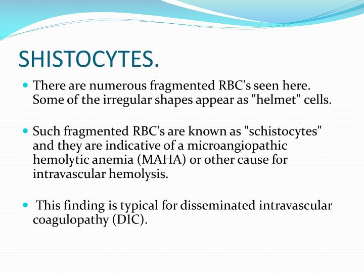 PPT - HEMATOPATHOLOGY. . PowerPoint Presentation - ID:3446723