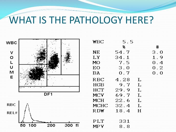 PPT - HEMATOPATHOLOGY. . PowerPoint Presentation - ID:3446723