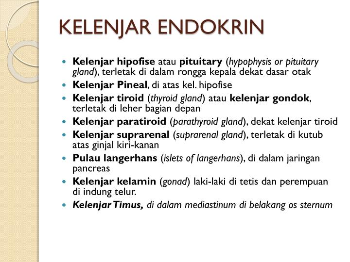 PPT - ANATOMI FISIOLOGI SISTEM ENDOKRIN PowerPoint Presentation - ID ...
