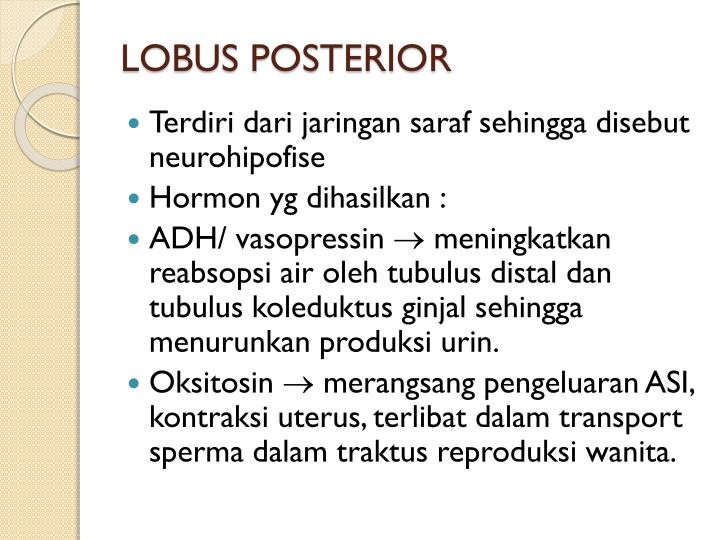 PPT - ANATOMI FISIOLOGI SISTEM ENDOKRIN PowerPoint Presentation - ID ...