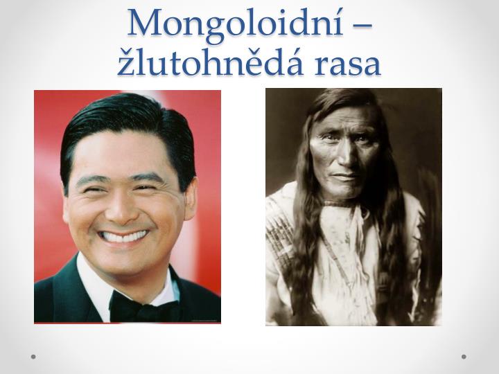 PPT - Rasové složení PowerPoint Presentation - ID:3447704