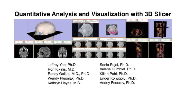 PPT - CTSA at RSNA 2010 PowerPoint Presentation, free download - ID:3447958