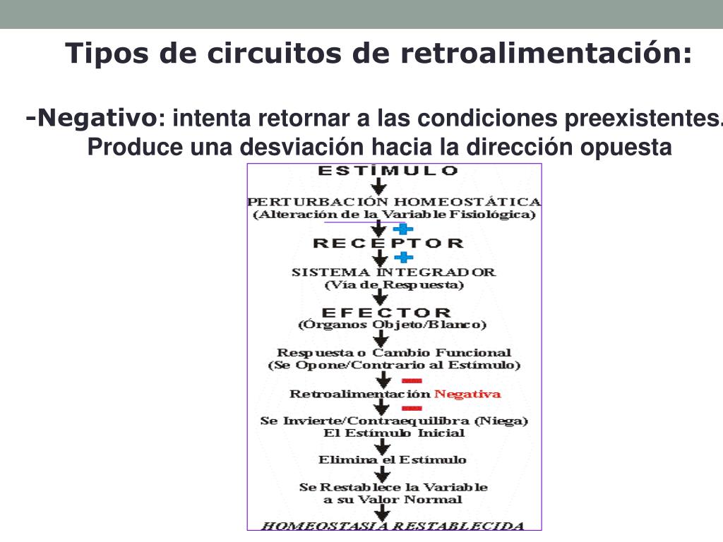PPT - Introducción a la fisiología: fisiología general y celular ...