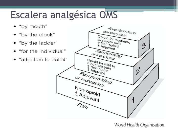 PPT - ROTACIÓN Y EQUIPOTENCIA DE OPIOIDES PowerPoint Presentation - ID:3449587