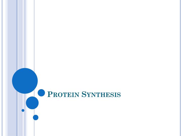 PPT - Protein Synthesis PowerPoint Presentation, free download - ID:3449619
