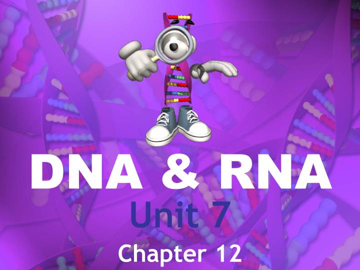 PPT - DNA & RNA PowerPoint Presentation, free download - ID:3449622
