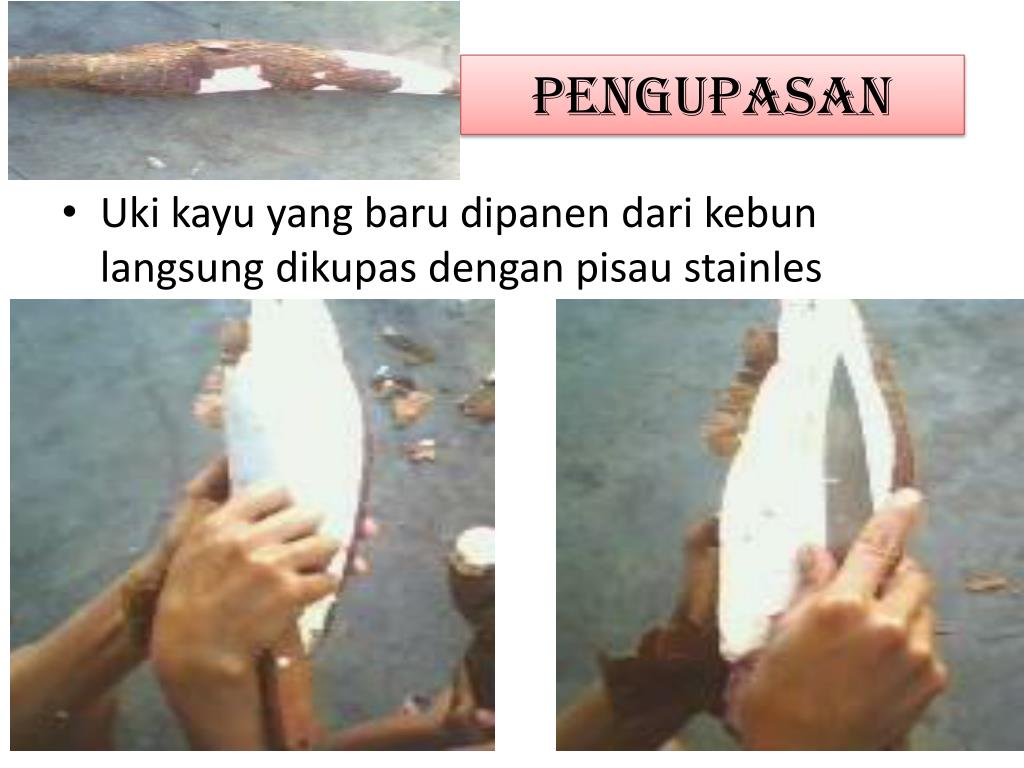 PPT - PEMBUATAN BERASAN ASODA Oleh : Matias Meki TH TB-PP Kab . Sikka ...